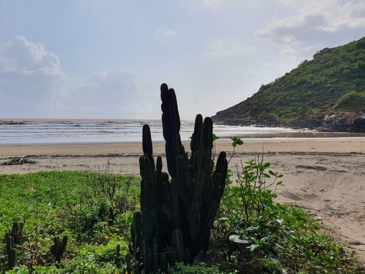 Aghanashini Ecosystem: A Biodiversity Treasure - panchabhuta